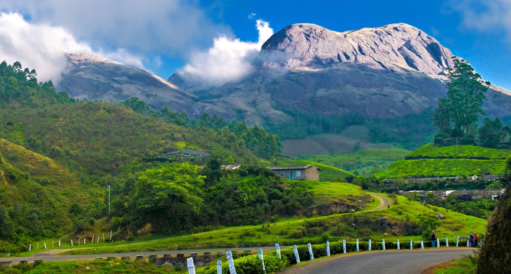 About Misty Dale Munnar - Misty Dale Resort Munnar- Munnar Resorts